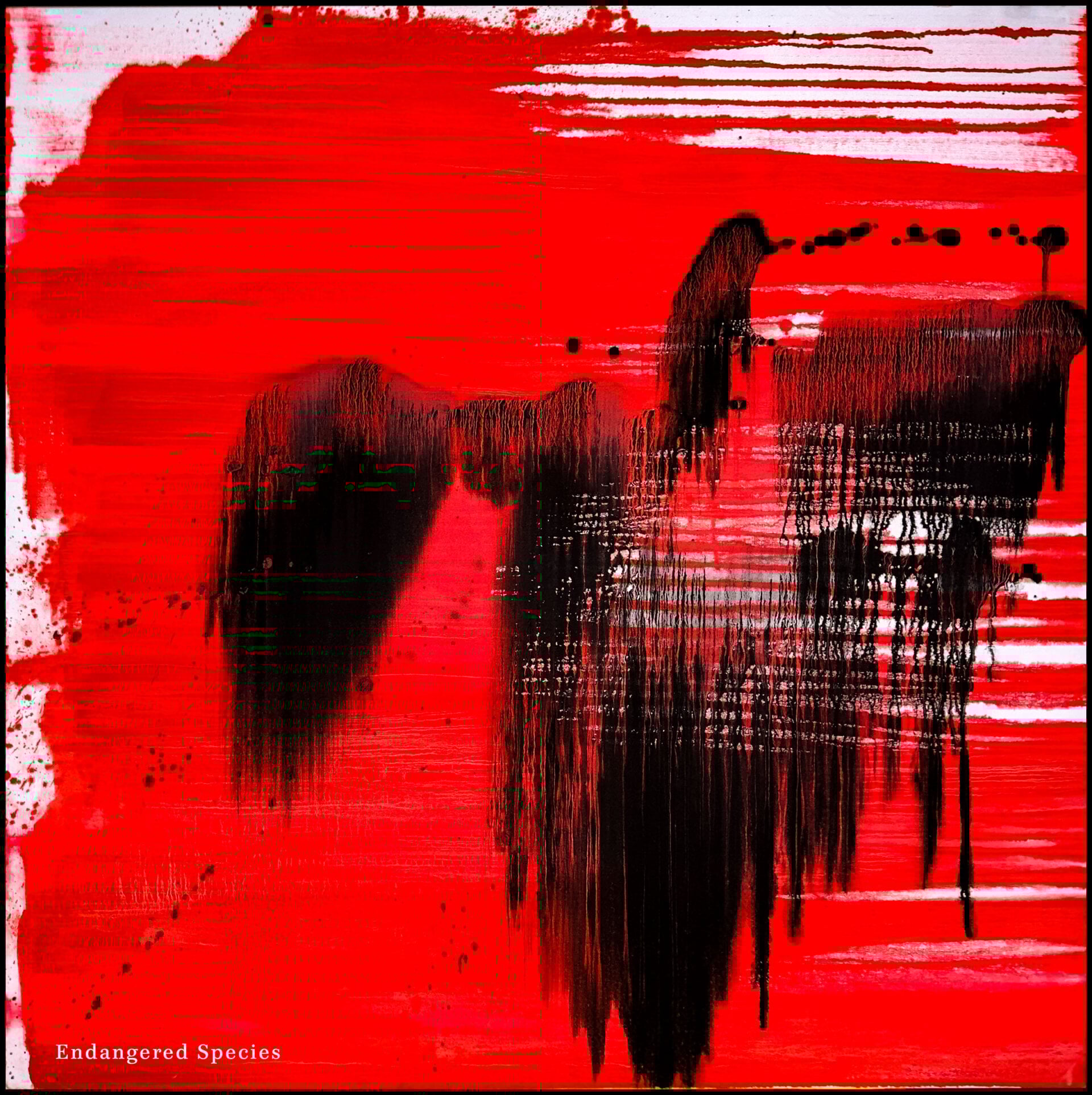 David Lee Roth Art - David Lee Roth